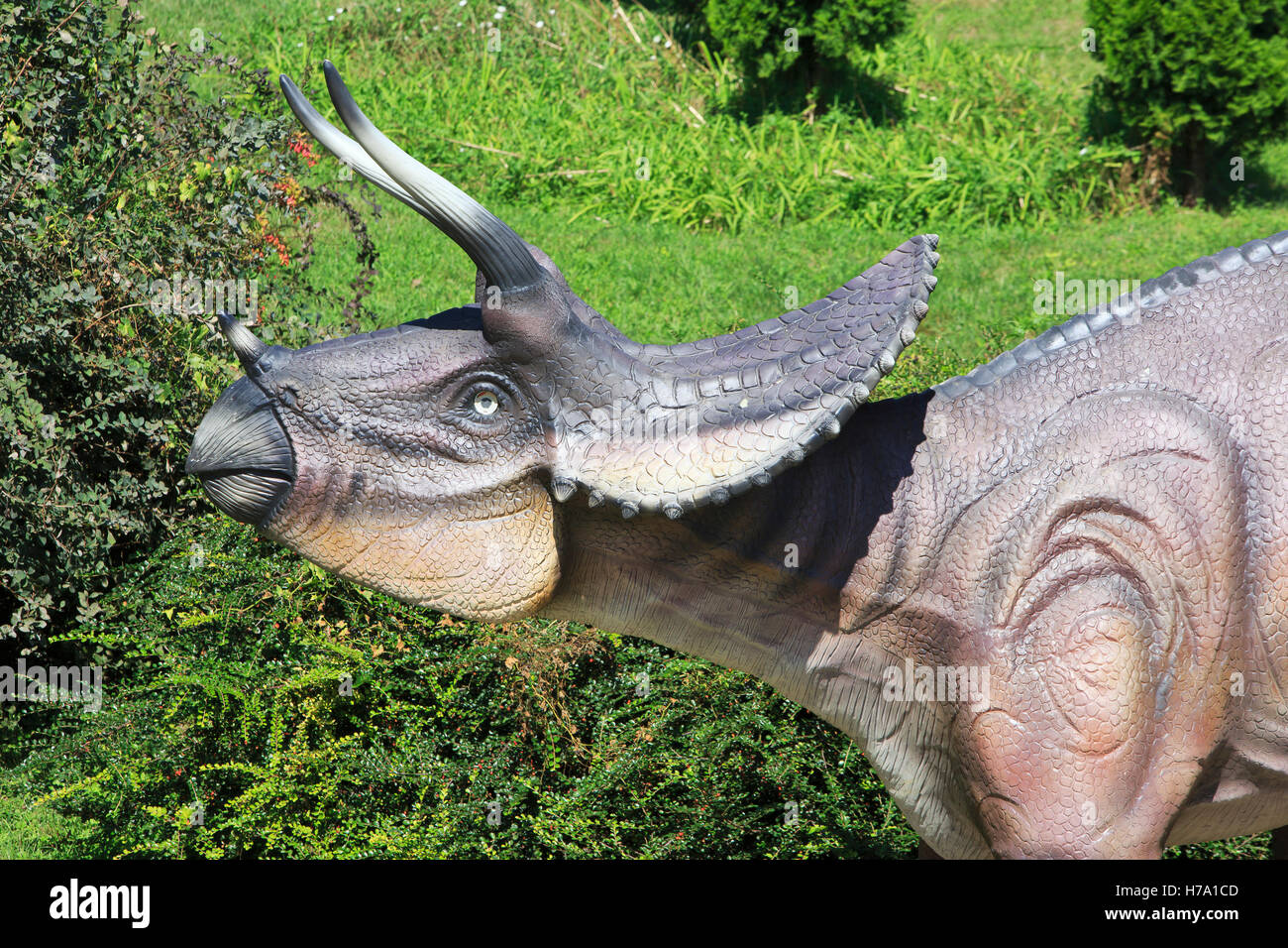 Triceratops Like Dinosaur High Resolution Stock Photography and Images ...