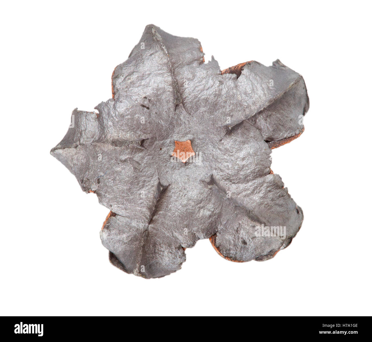 Hollow point bullet for a nine millimeter that has expanded Stock Photo ...