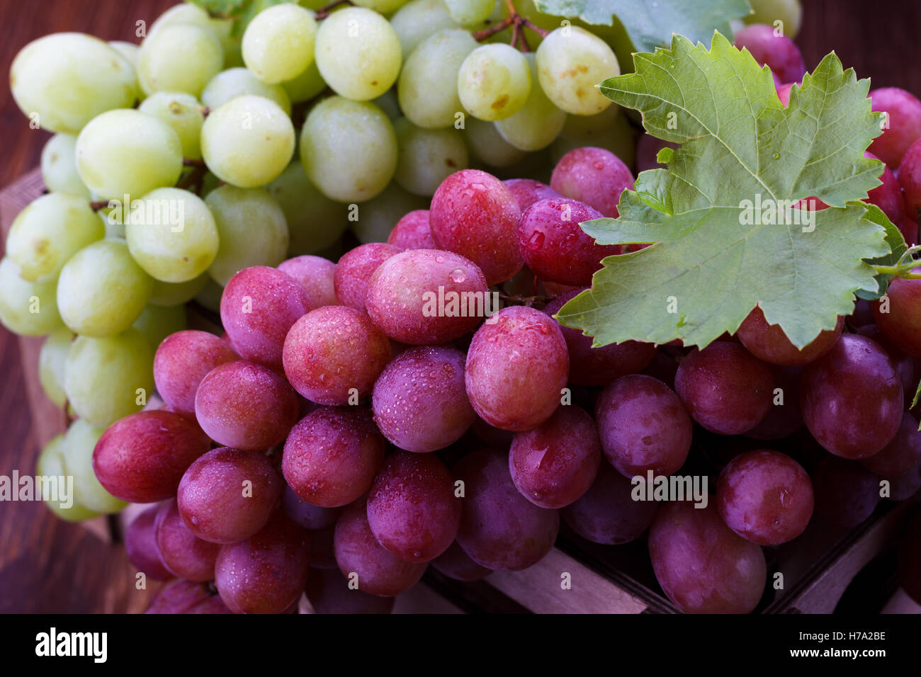 Closeup grapes seeds hi-res stock photography and images - Alamy