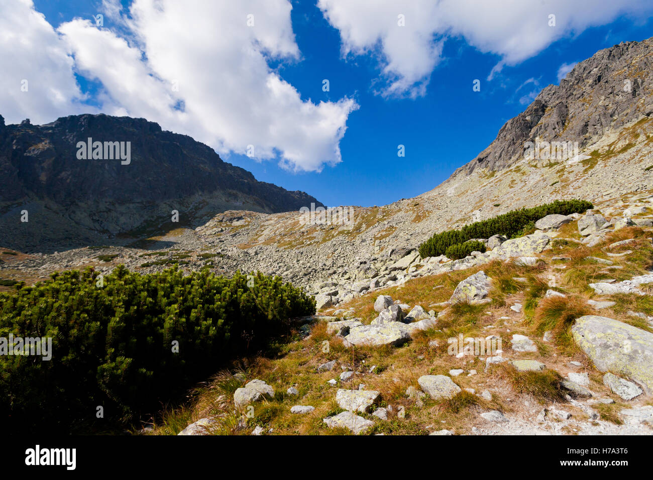 Beautiful Furkotska dolina on the way to Bystre sedlo - in slovakian ...