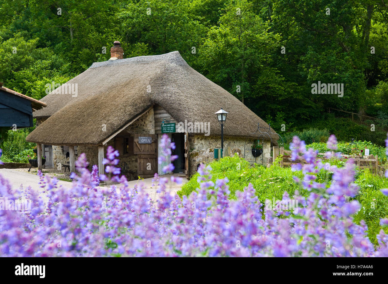 Branscombe old forge hi-res stock photography and images - Alamy