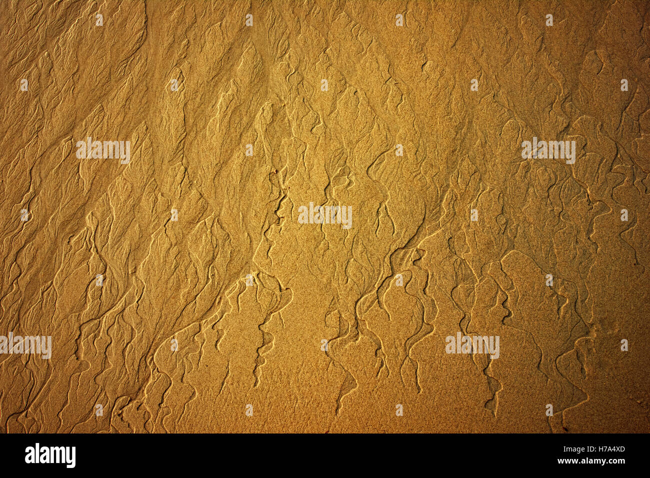 Sand texture with lines and waves Stock Photo - Alamy