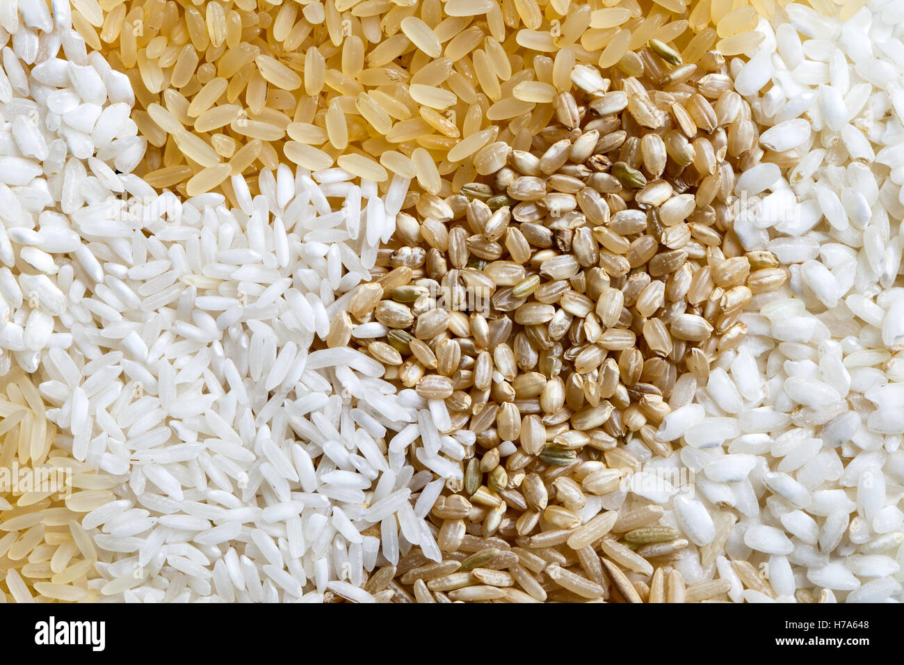 White rice grains background pattern hi-res stock photography and ...