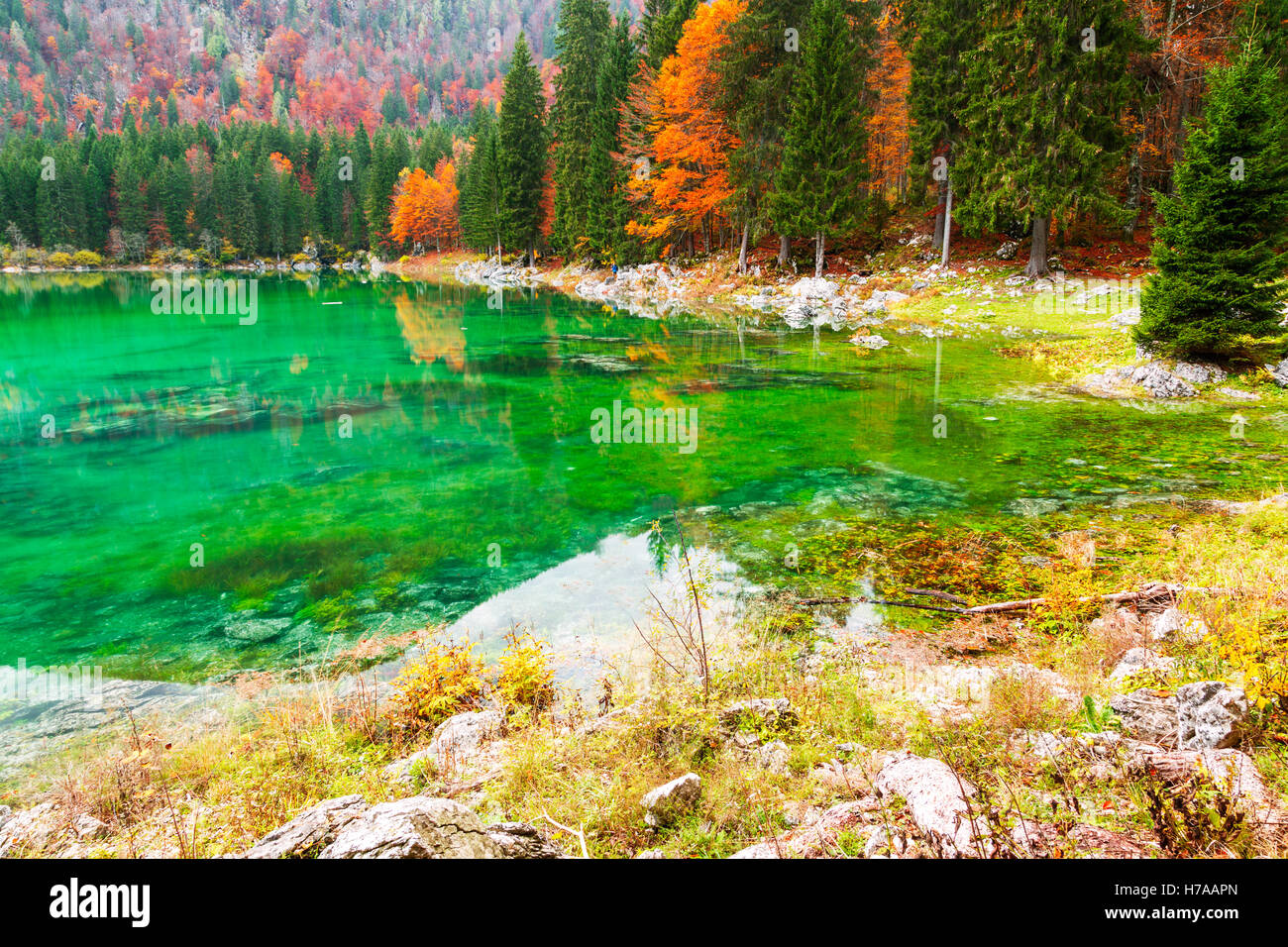 Autumn scenery at lake Fusine ( Lago di Fusine) mountain lake in north ...