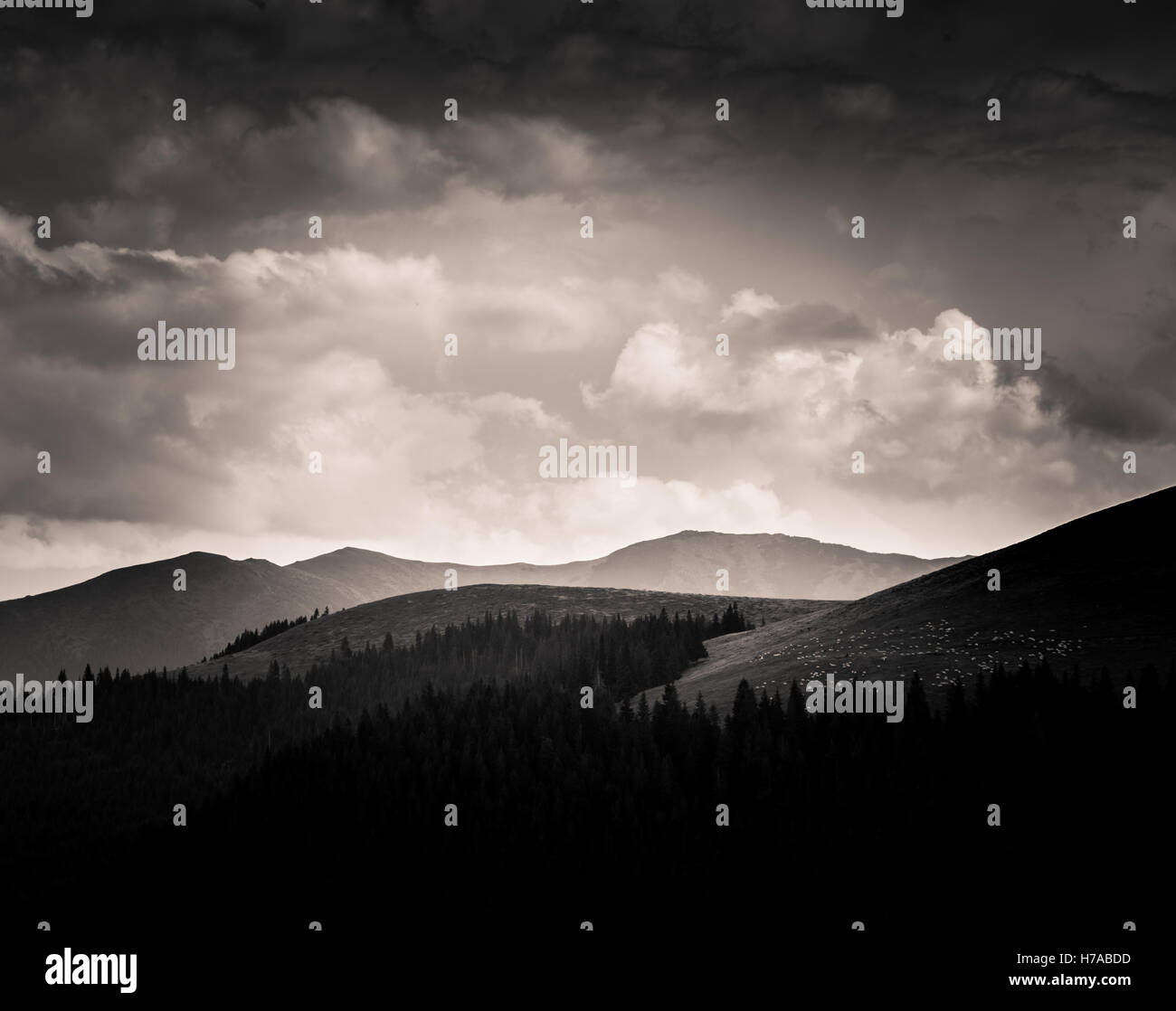 Dramatic scale in nature hi-res stock photography and images - Alamy