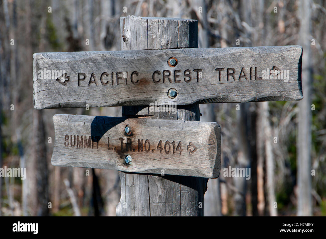 Pacific Crest Trail (PCT) sign in B&B Complex Fire zone, Mt Jefferson ...