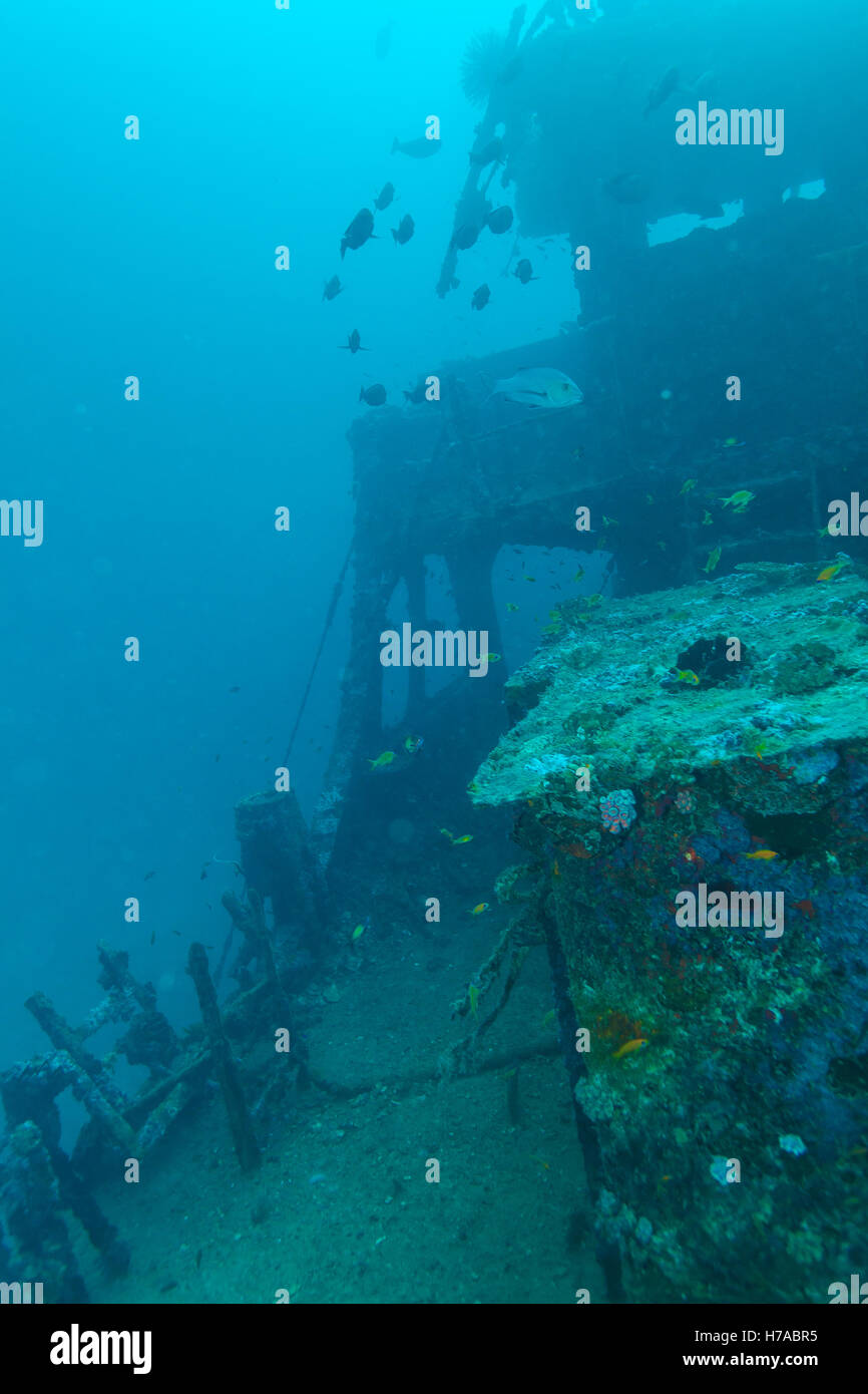 Ocean bottom hi-res stock photography and images - Alamy