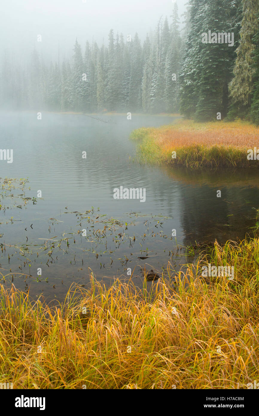 Timpanogas Lake, Cascade Lakes Recreation Area, Willamette National ...