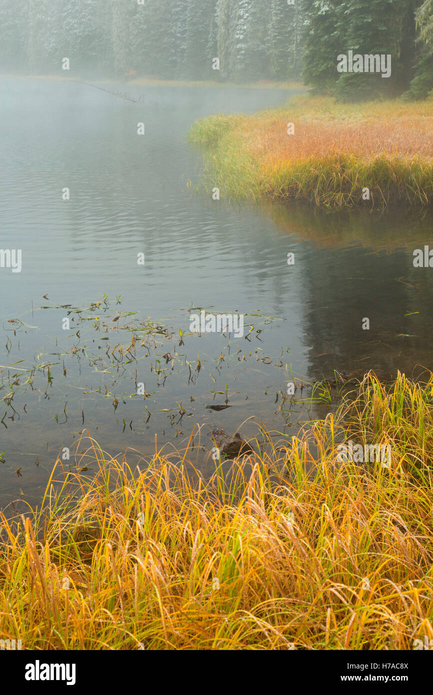 Timpanogas Lake, Cascade Lakes Recreation Area, Willamette National ...