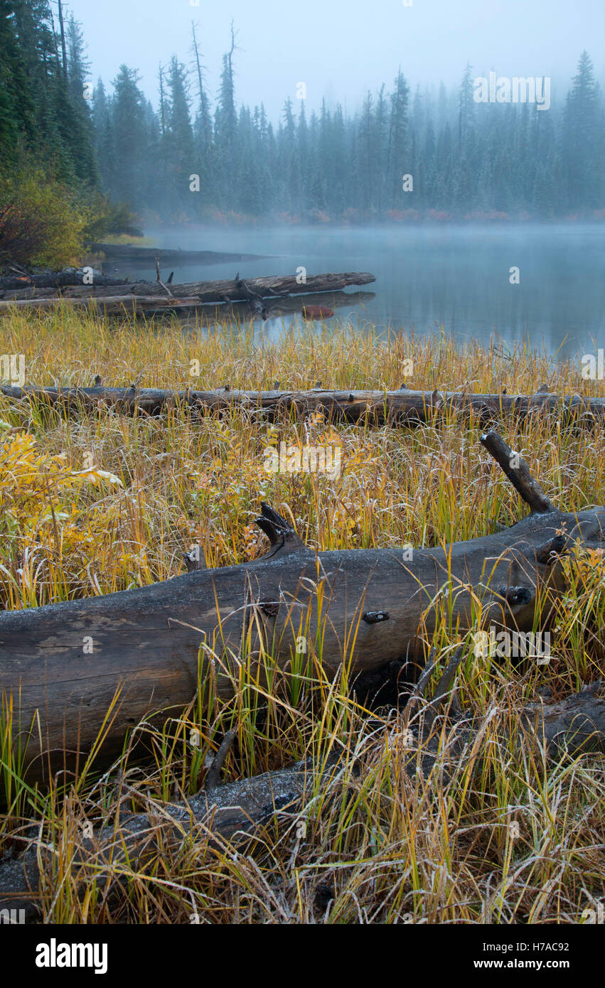 Timpanogas hi-res stock photography and images - Alamy