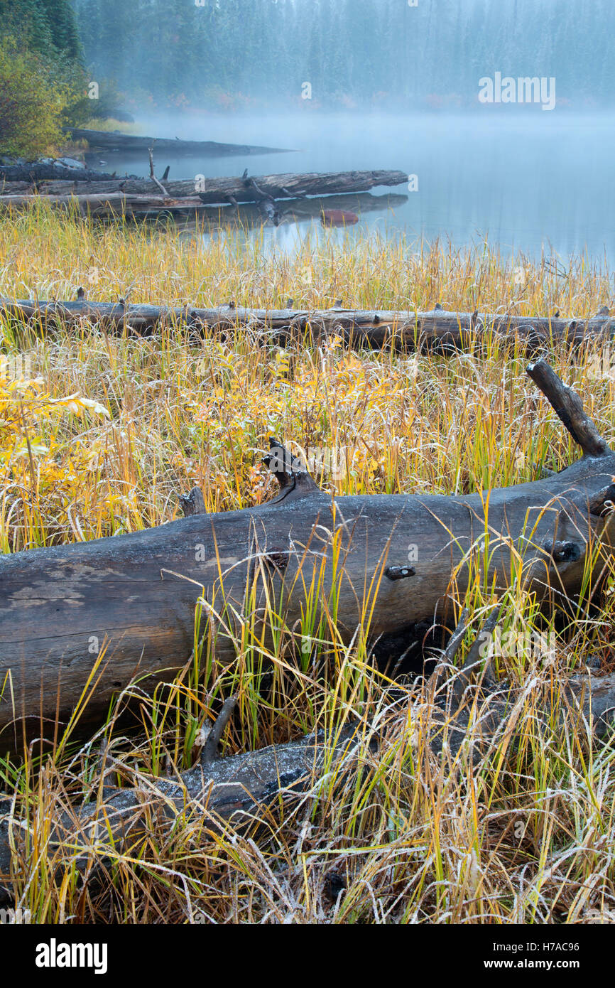 Timpanogas Lake, Cascade Lakes Recreation Area, Willamette National ...