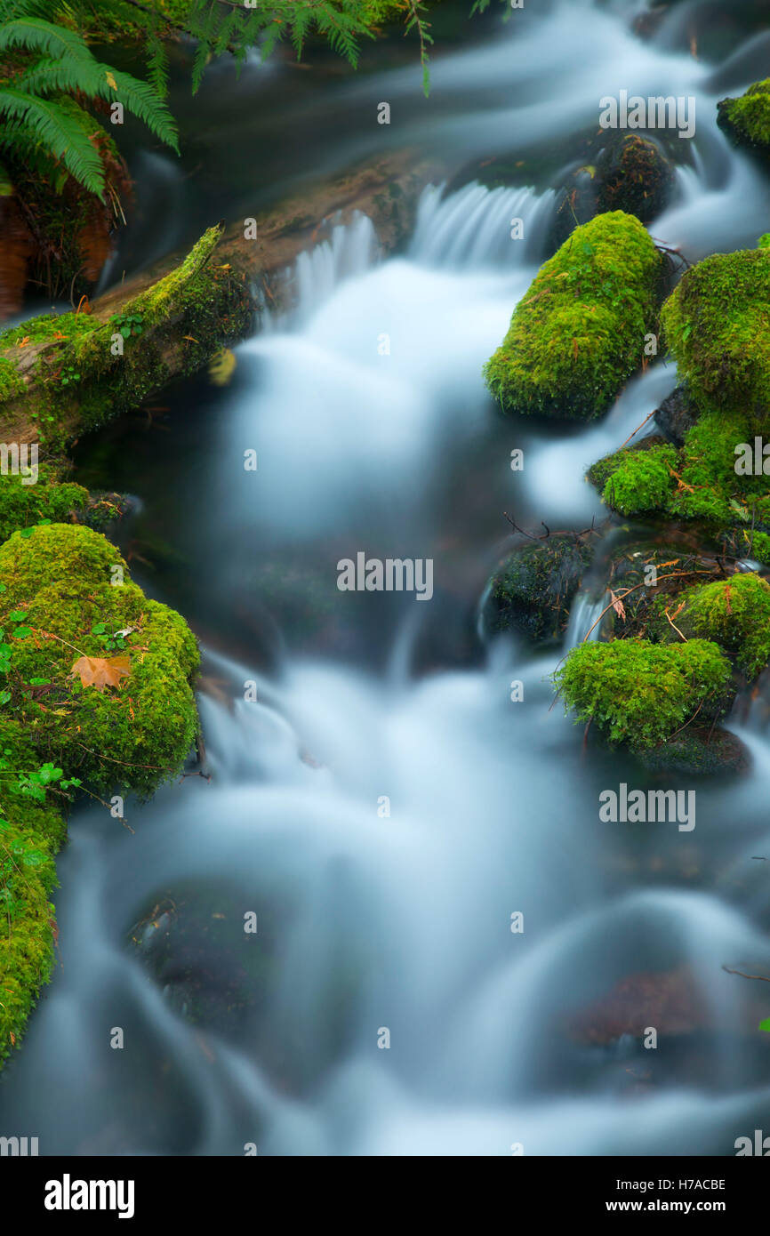 Indigo springs hi-res stock photography and images - Alamy