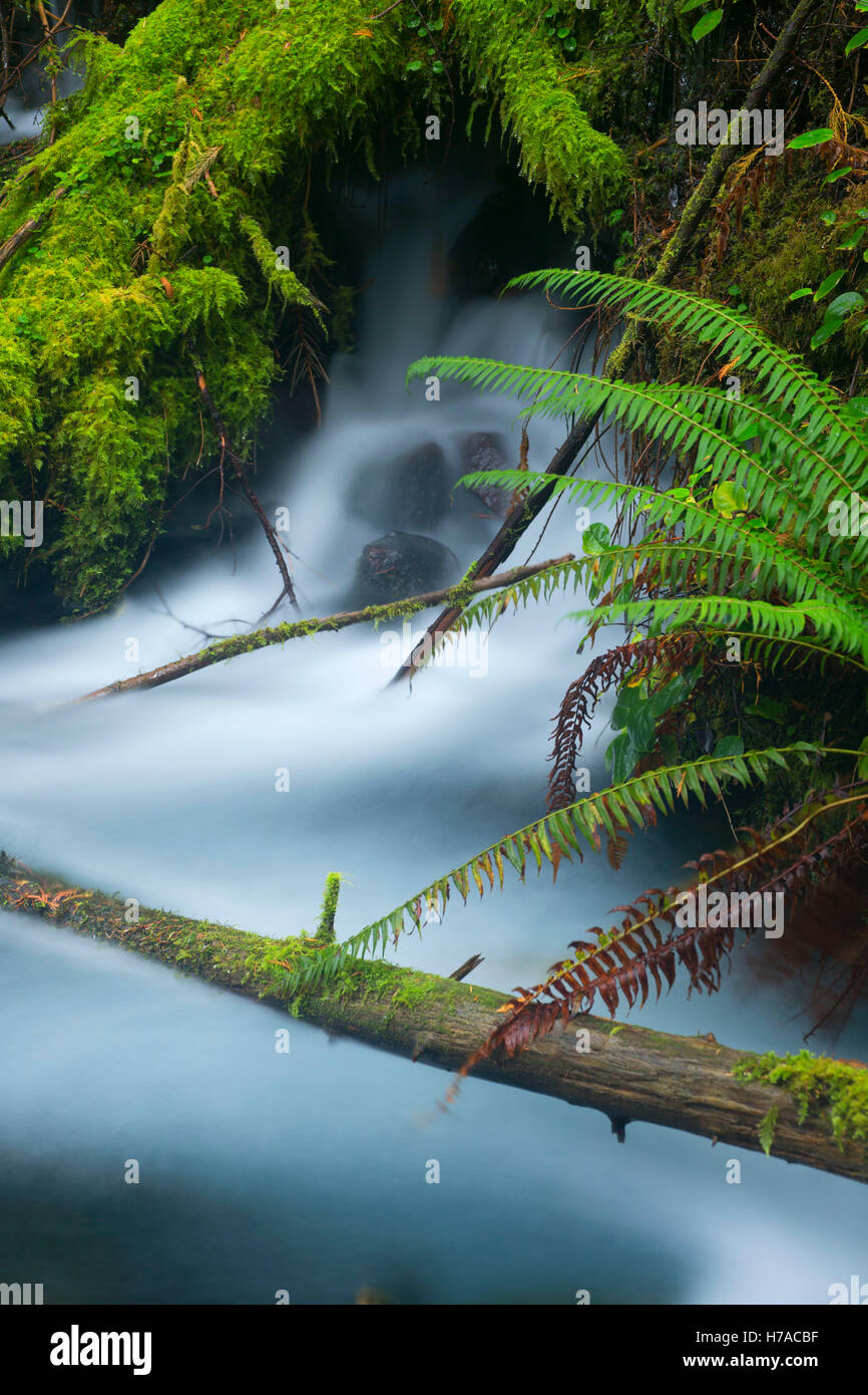 Indigo Springs High Resolution Stock Photography and Images - Alamy
