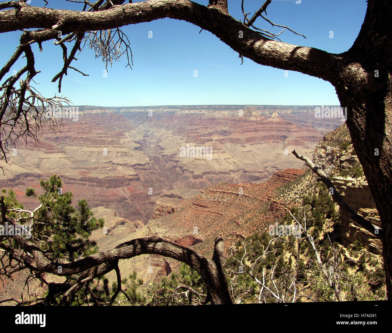 Grand canyon view hi-res stock photography and images - Alamy