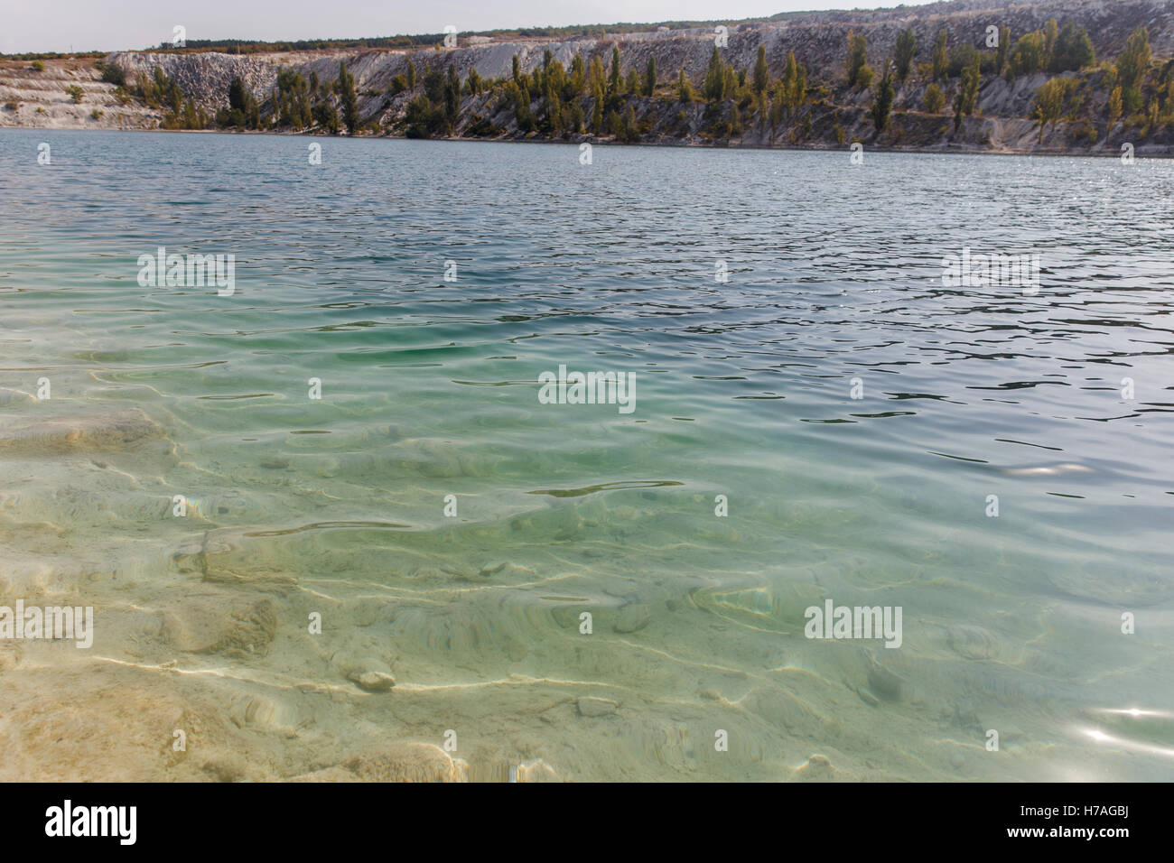 Wildlife, pond and rocky cliff with trees. Scenic views with tranquil ...