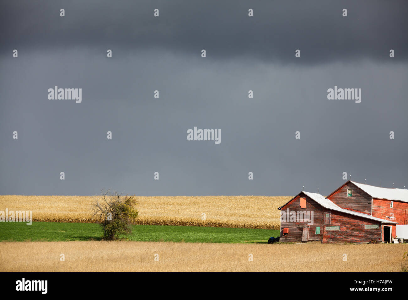 A farm in the Mohawk Valley of Montgomery County, New York State, USA ...