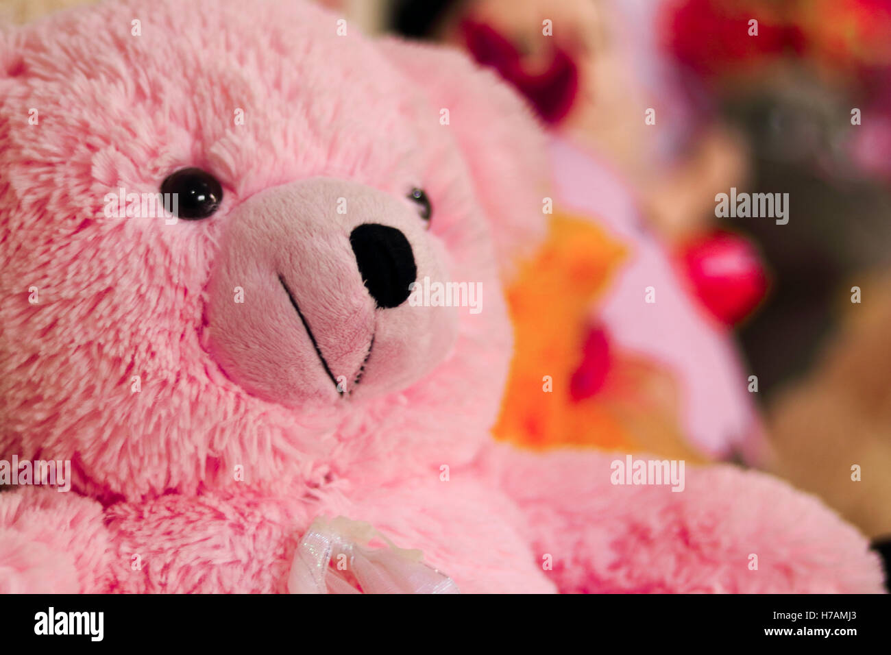 Pink teddy bear hi-res stock photography and images - Alamy
