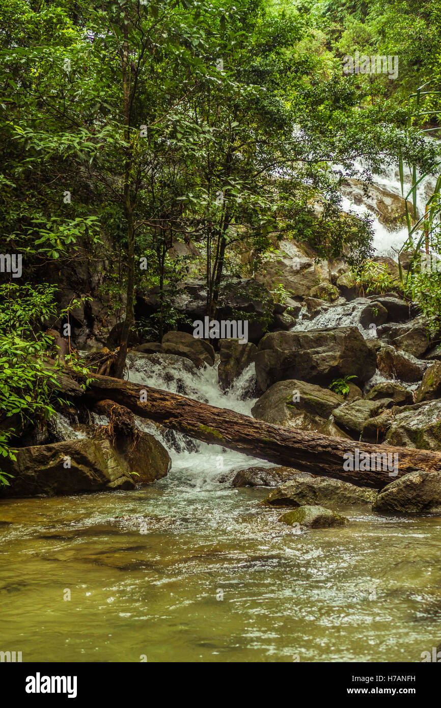 Beautiful waterfall with lake and fallen tree branch in nature green ...