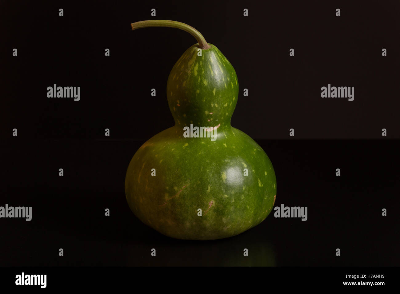 gourd on a dark background, studio picture Stock Photo - Alamy