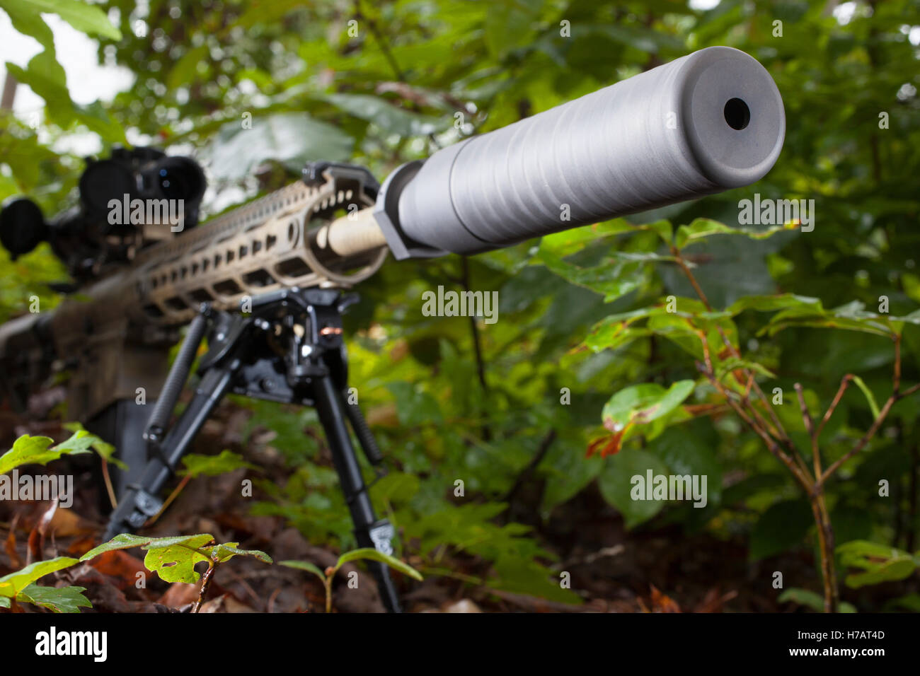 Semi automatic rifle camouflage suppressor hi-res stock photography and ...