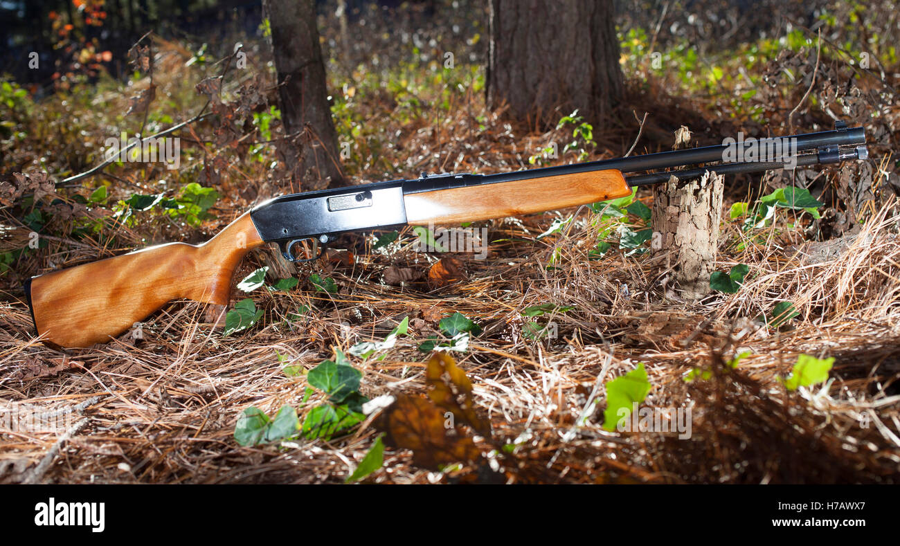 Rimfire weapon that is on the forest floor Stock Photo - Alamy
