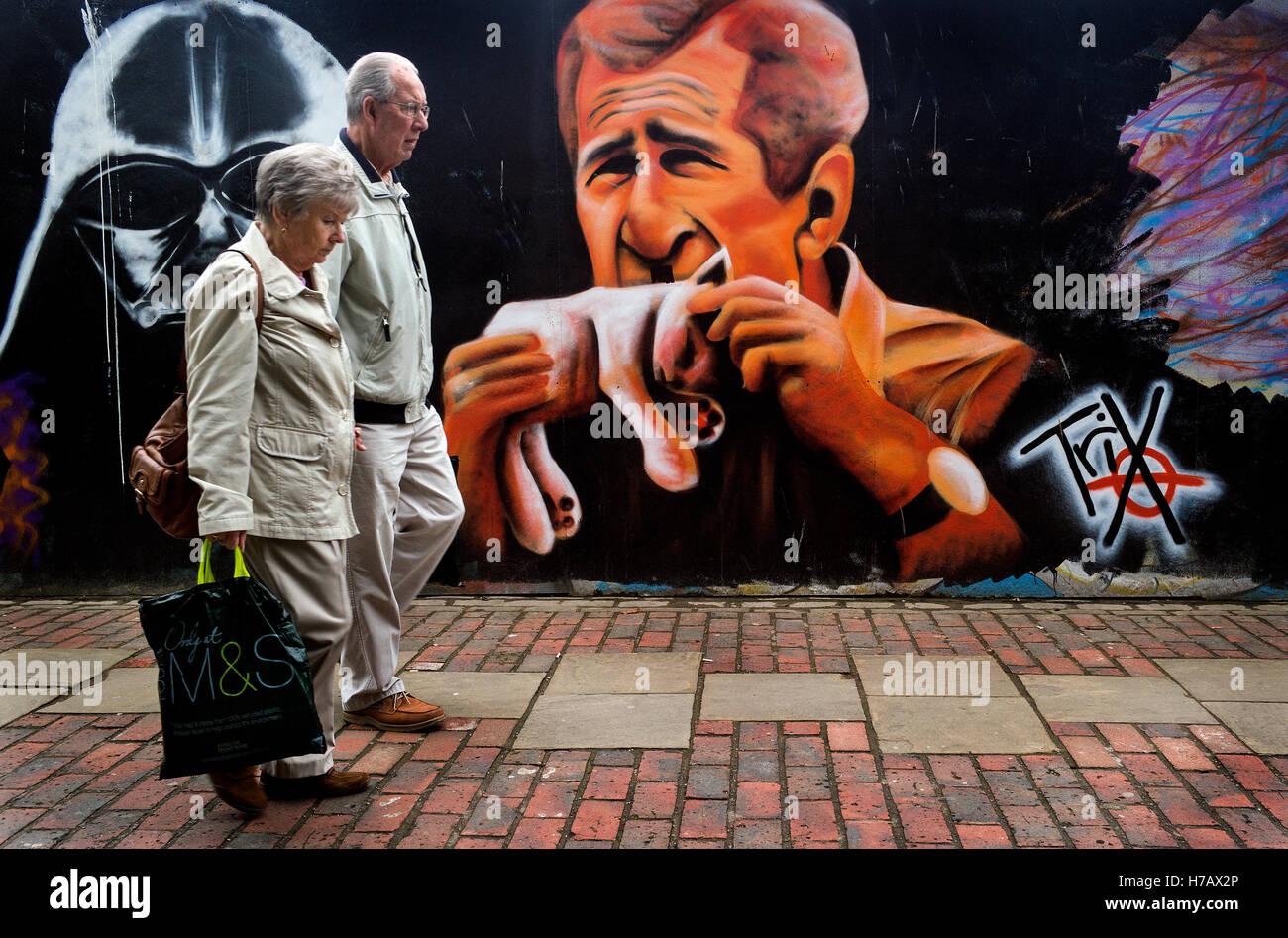 George Bush Cat Paintings