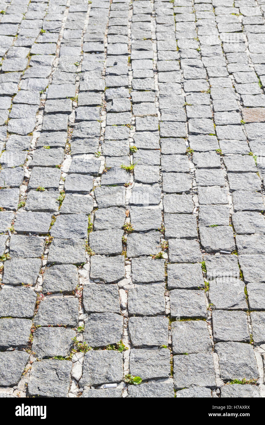 The road is paved with stones Stock Photo - Alamy