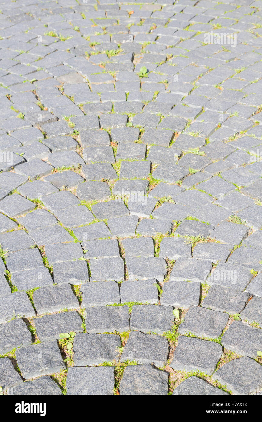 The road is paved with stones Stock Photo - Alamy