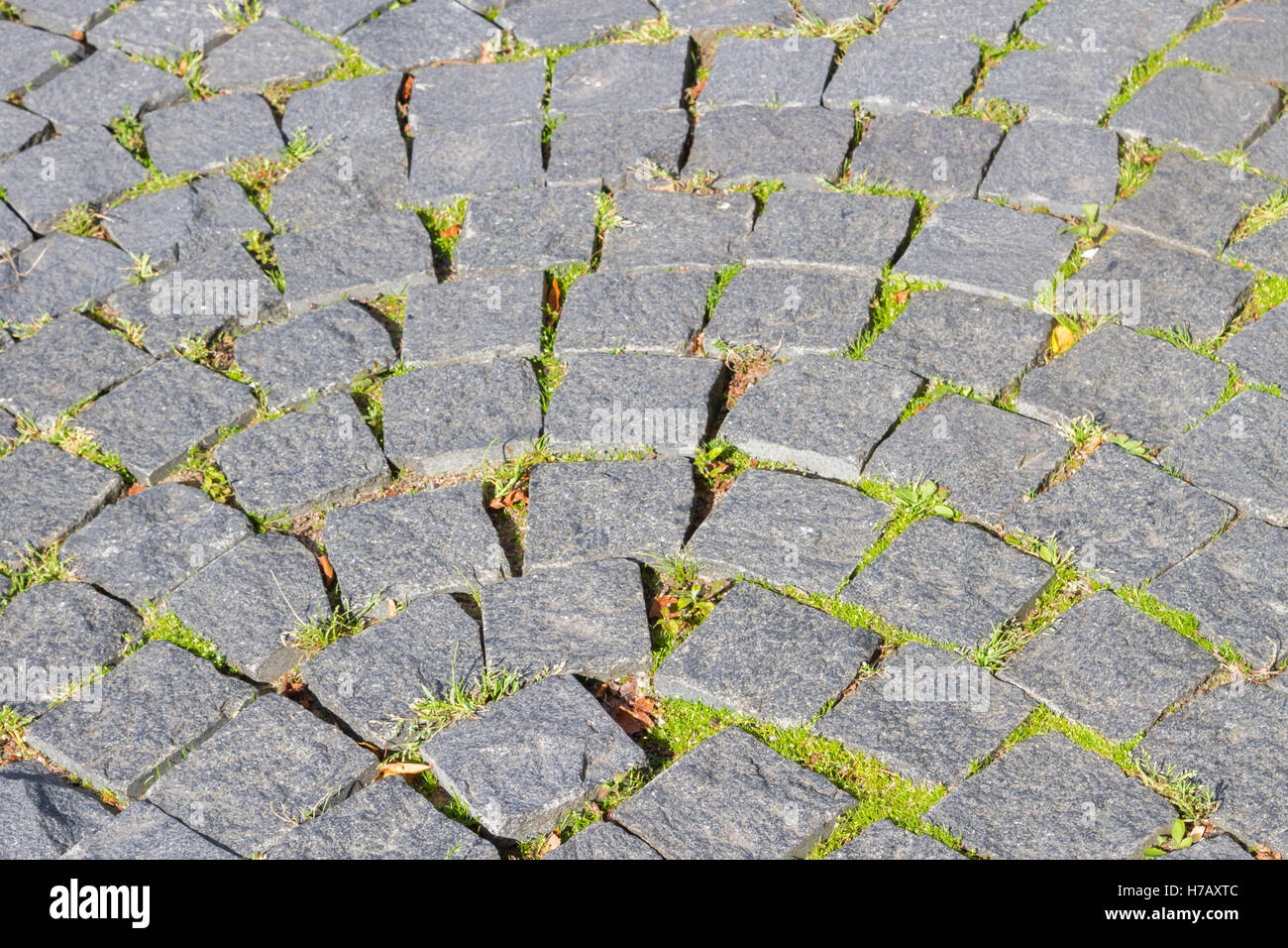 The road is paved with stones Stock Photo - Alamy