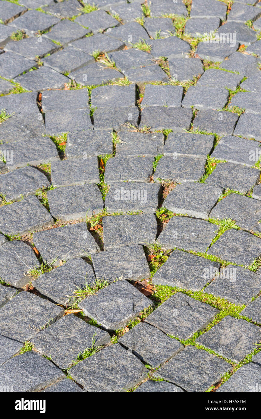 The road is paved with stones Stock Photo - Alamy