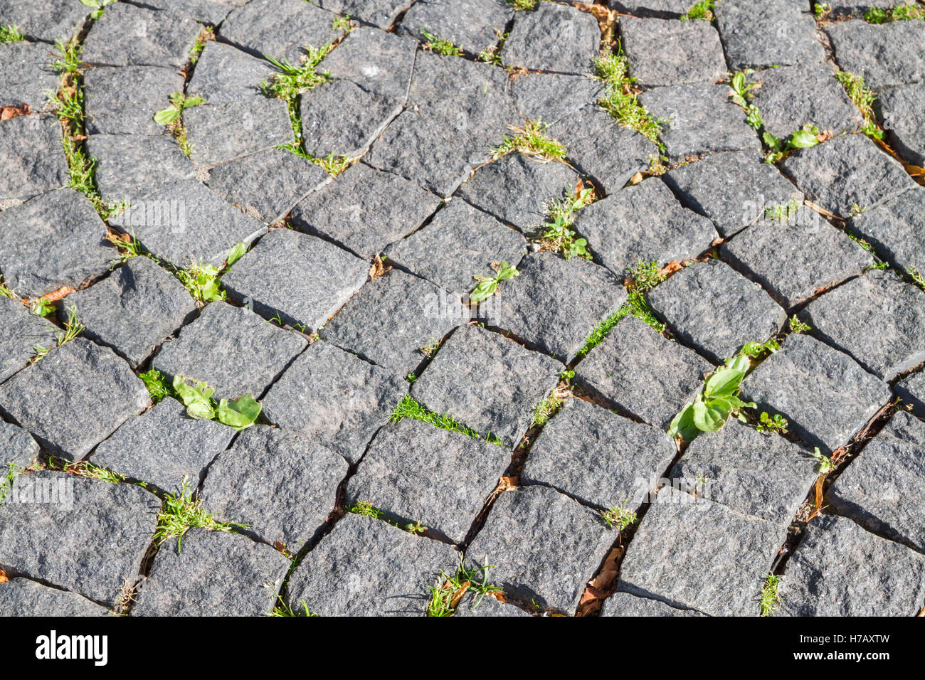 The road is paved with stones Stock Photo - Alamy