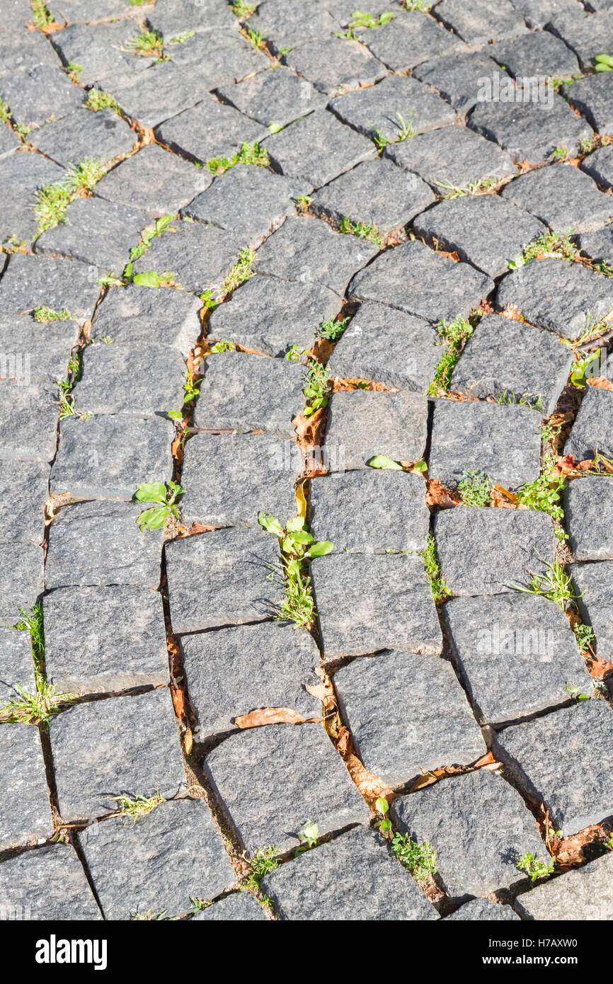 The road is paved with stones Stock Photo - Alamy
