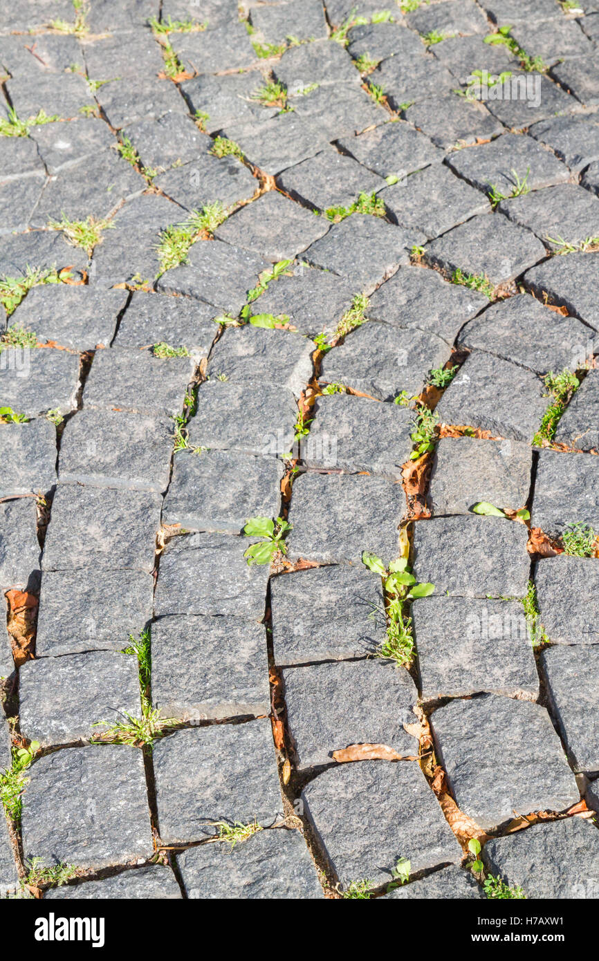 The road is paved with stones Stock Photo - Alamy