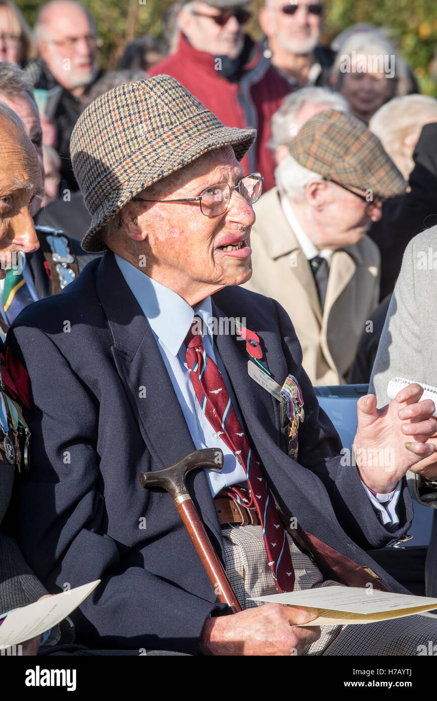 Original members of The Guinea Pig Club (GPC) at unveiling of ...