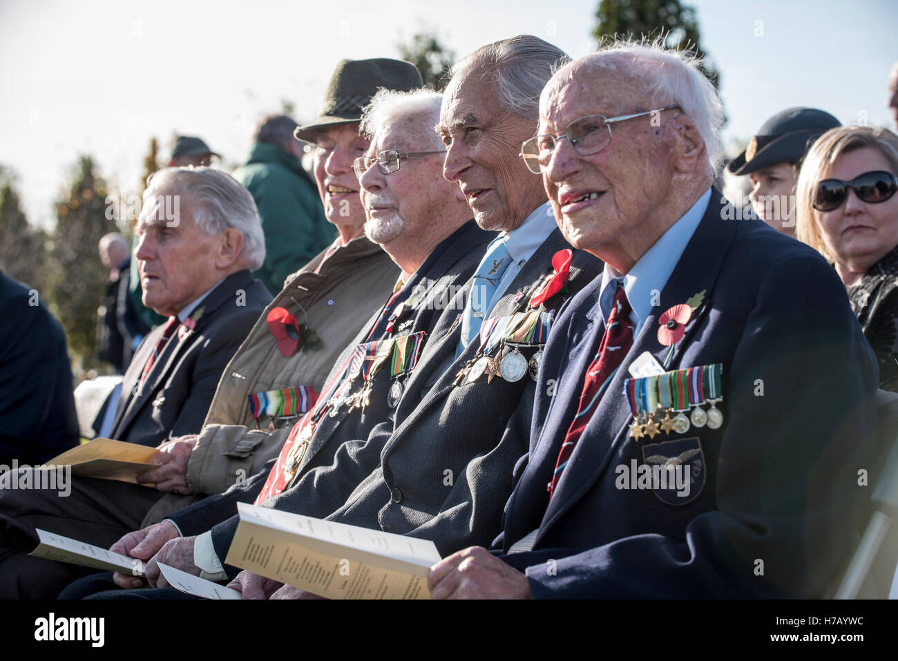 Guinea pig club ww2 hi-res stock photography and images - Alamy