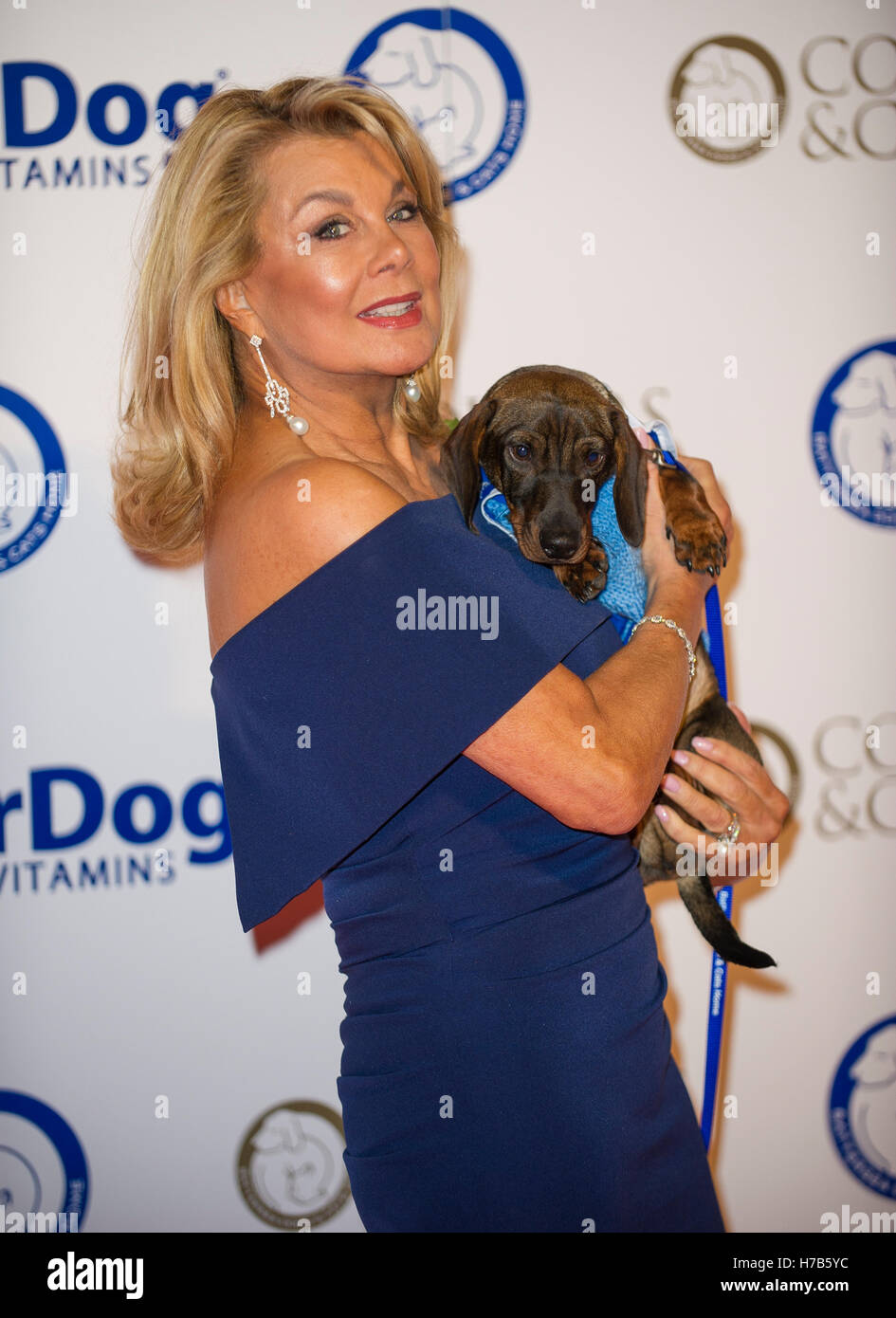 London, UK. 3rd November, 2016. Jilly Johnson attends Battersea Dogs ...