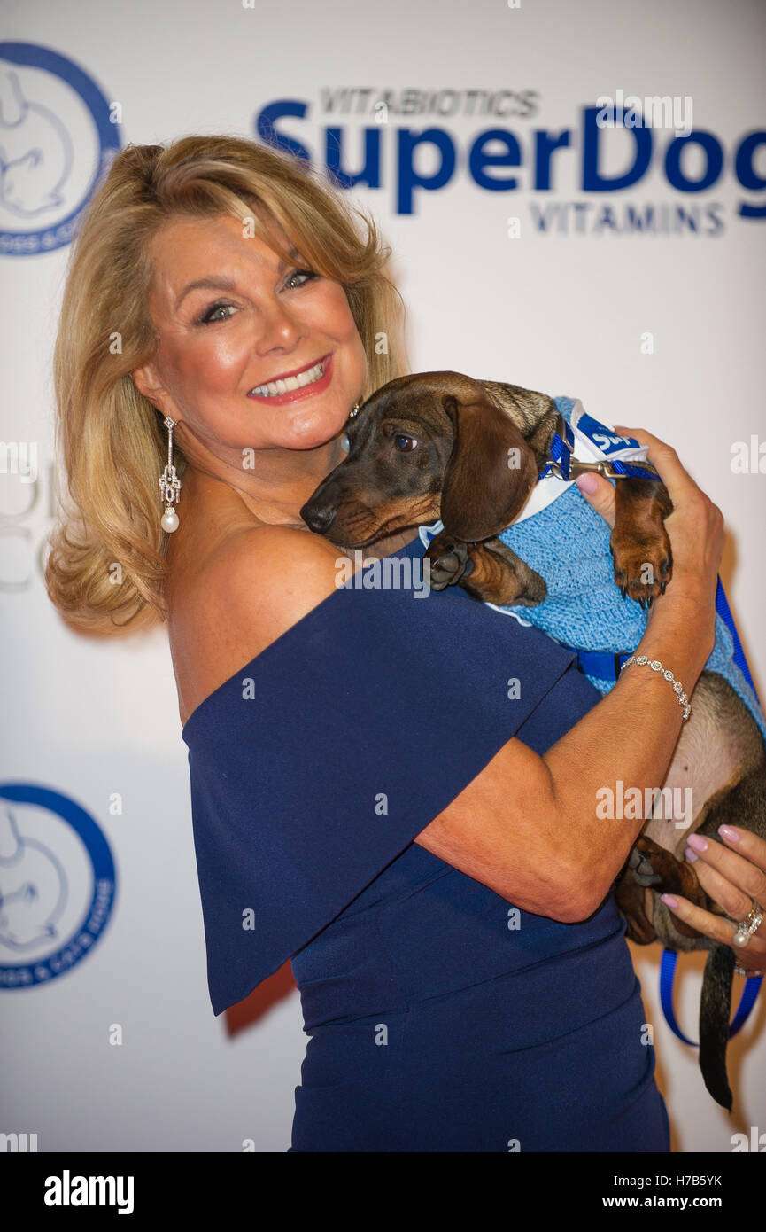 Jilly Johnson Stock Photos & Jilly Johnson Stock Images - Alamy