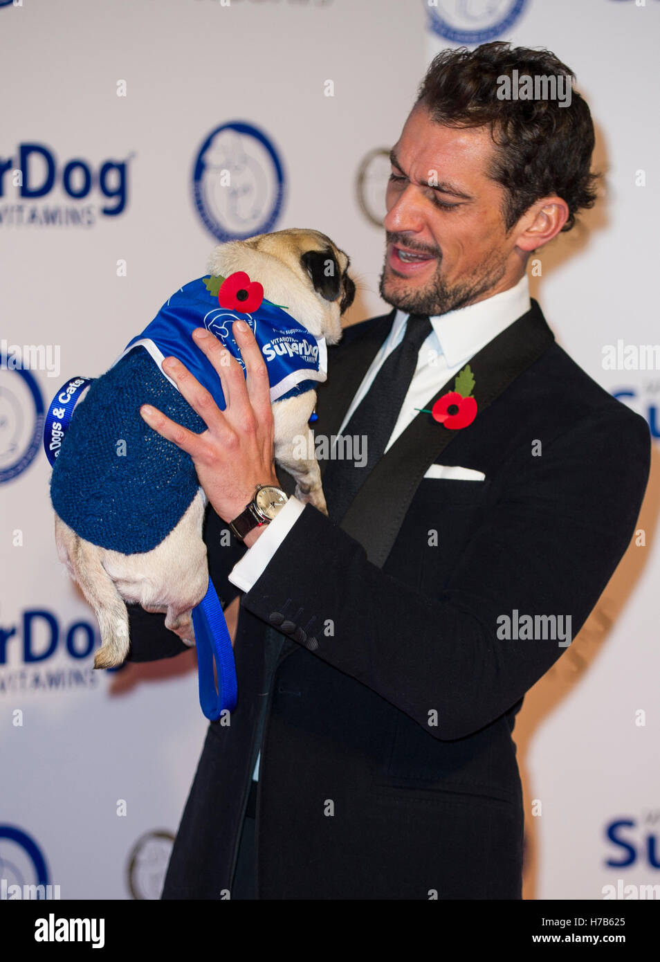 David Gandy And Dog