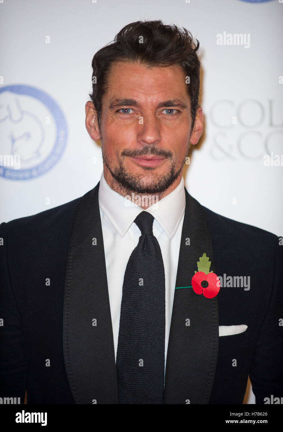 David gandy 2016 hi-res stock photography and images - Alamy