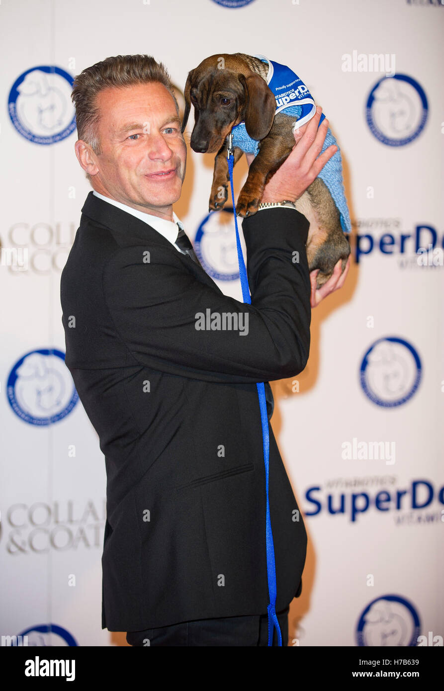 London, UK. 3rd November, 2016. Chris Packham attends Battersea Dogs ...