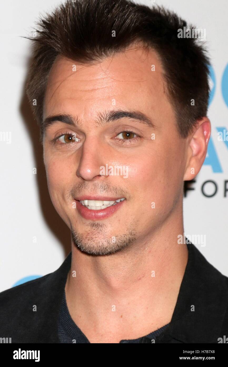 Los Angeles, CA, USA. 3rd Nov, 2016. Darin Brooks in attendance for THE ...