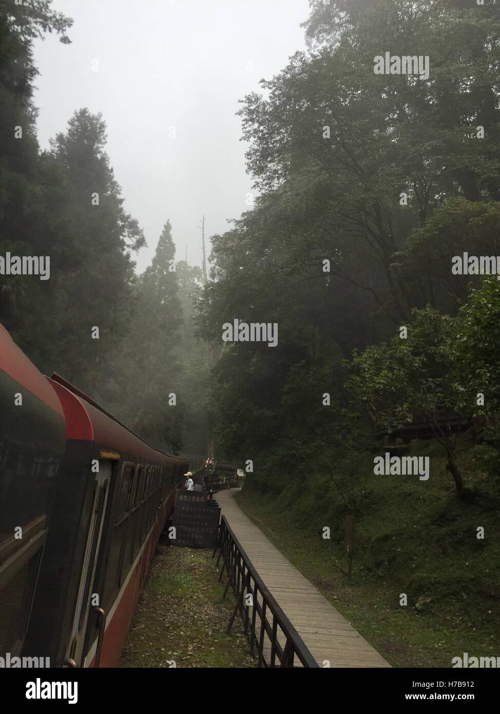 Ali mountain tea hi-res stock photography and images - Alamy