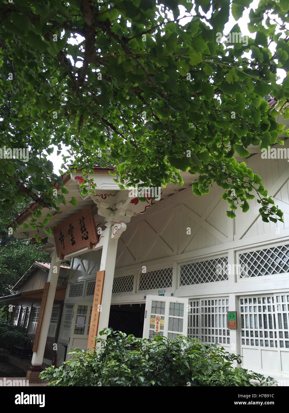 Ali mountain tea hi-res stock photography and images - Alamy