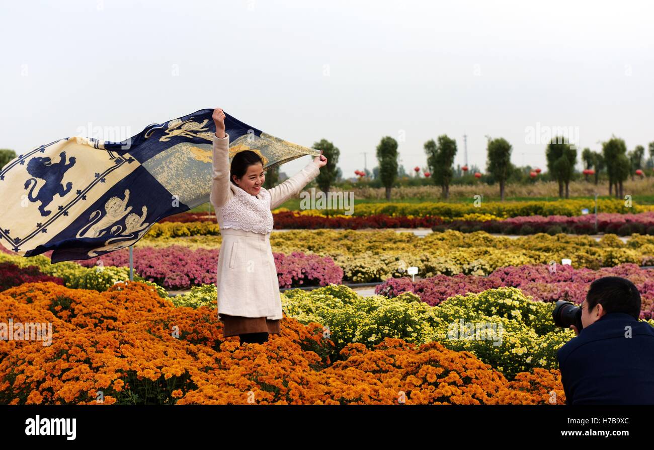 Hengshui, China's Hebei Province. 4th Nov, 2016. A tourist poses for ...