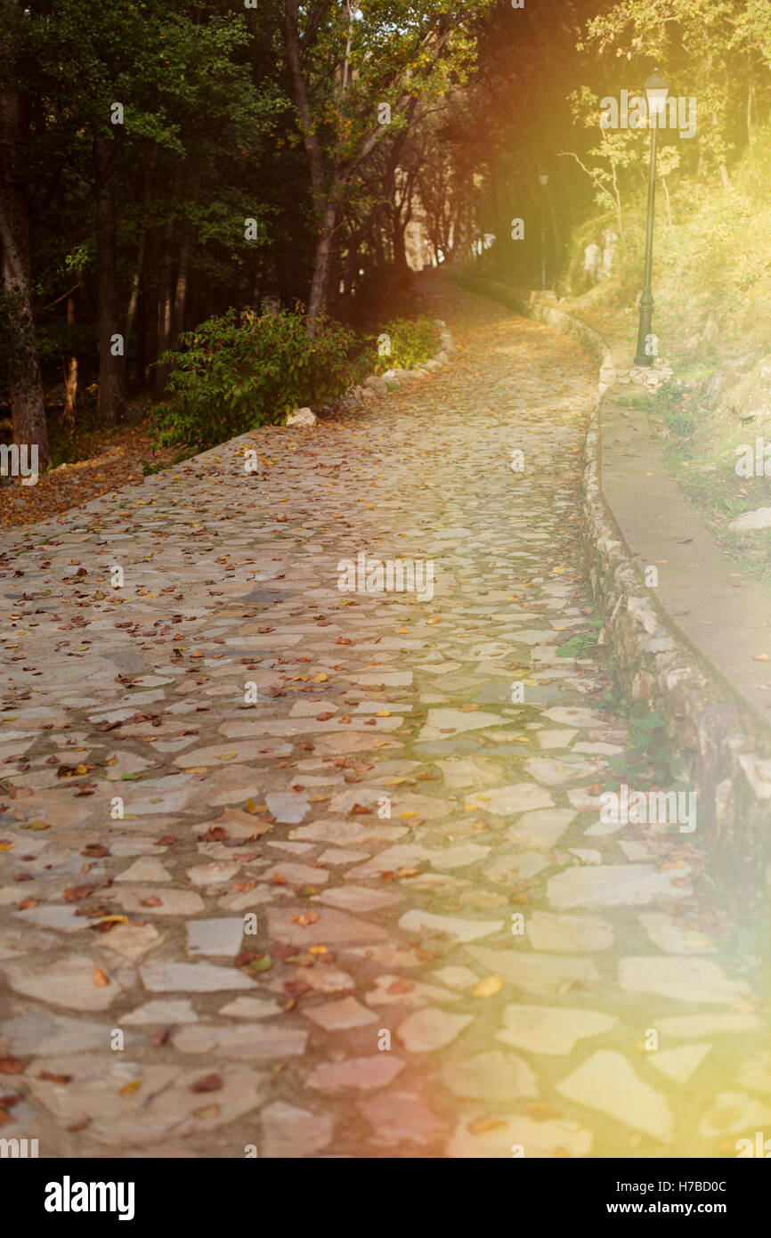 Nice sunny stone path surrounded by trees Stock Photo - Alamy