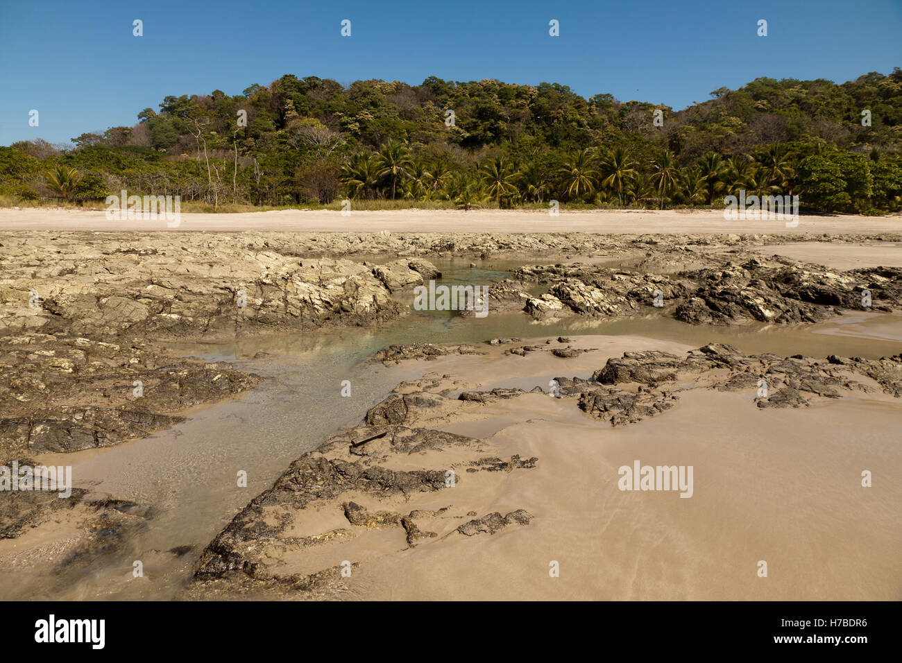 Playa manzanillo costa rica hi-res stock photography and images - Alamy