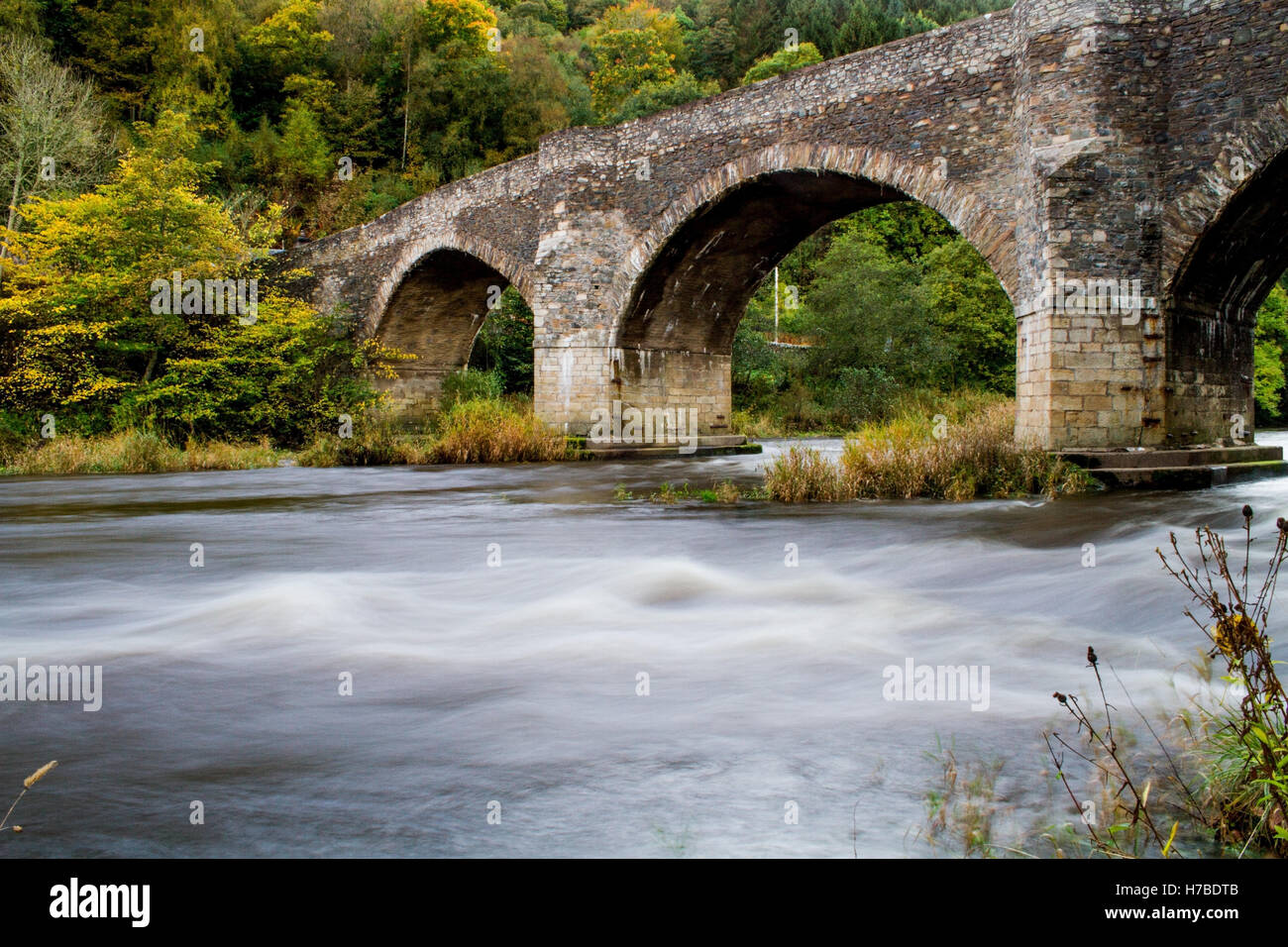 Scottish River Tweed running under a bridge, trees either side on the ...