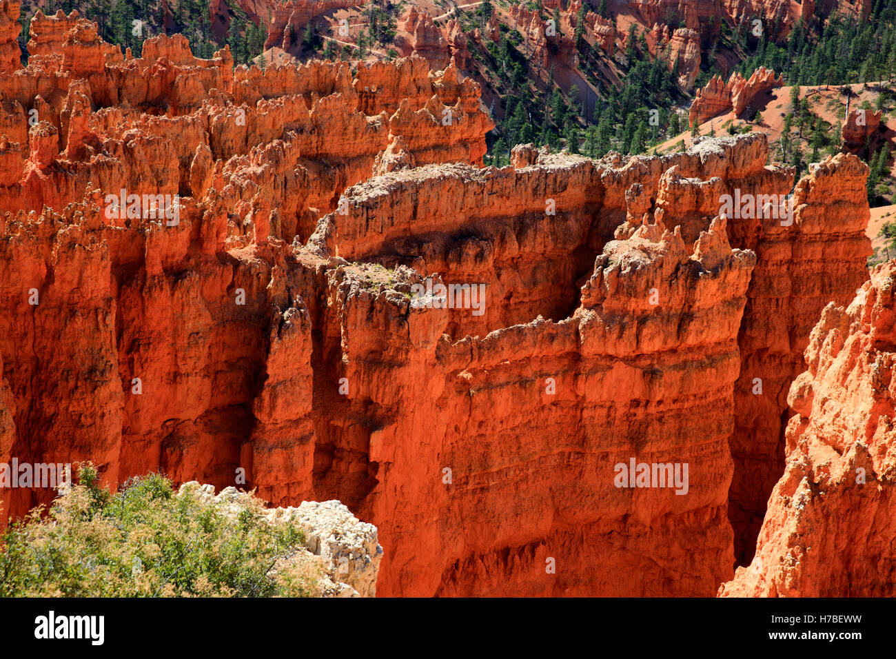 Hoodoo rock formations in Bryce Canyon National Park, Utah, USA Stock ...