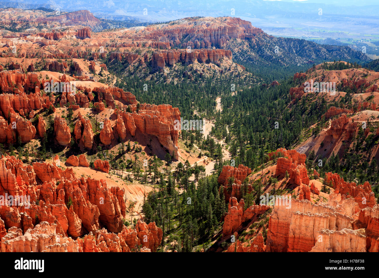 Hoodoo rock formations in Bryce Canyon National Park, Utah, USA Stock ...