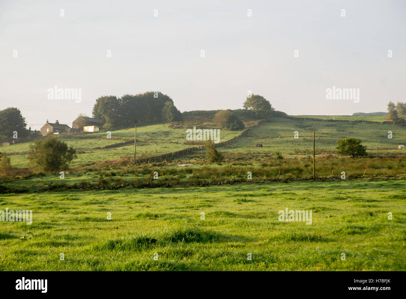 Rural country scene on clear summers day Stock Photo - Alamy
